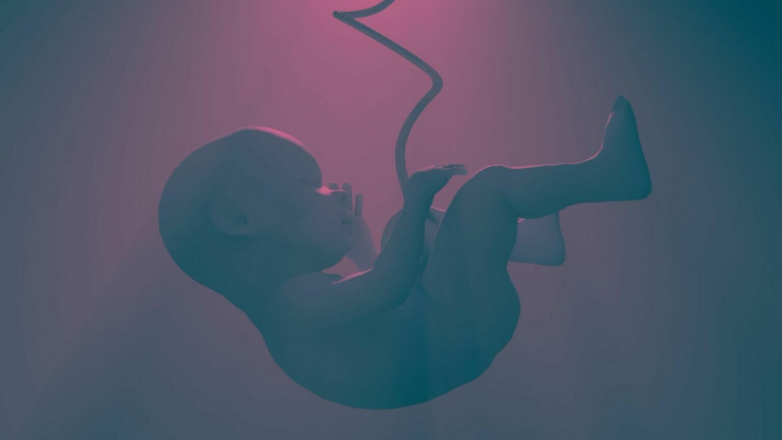 Marginal Cord Insertion: Possible Complications - Phillips Law Offices